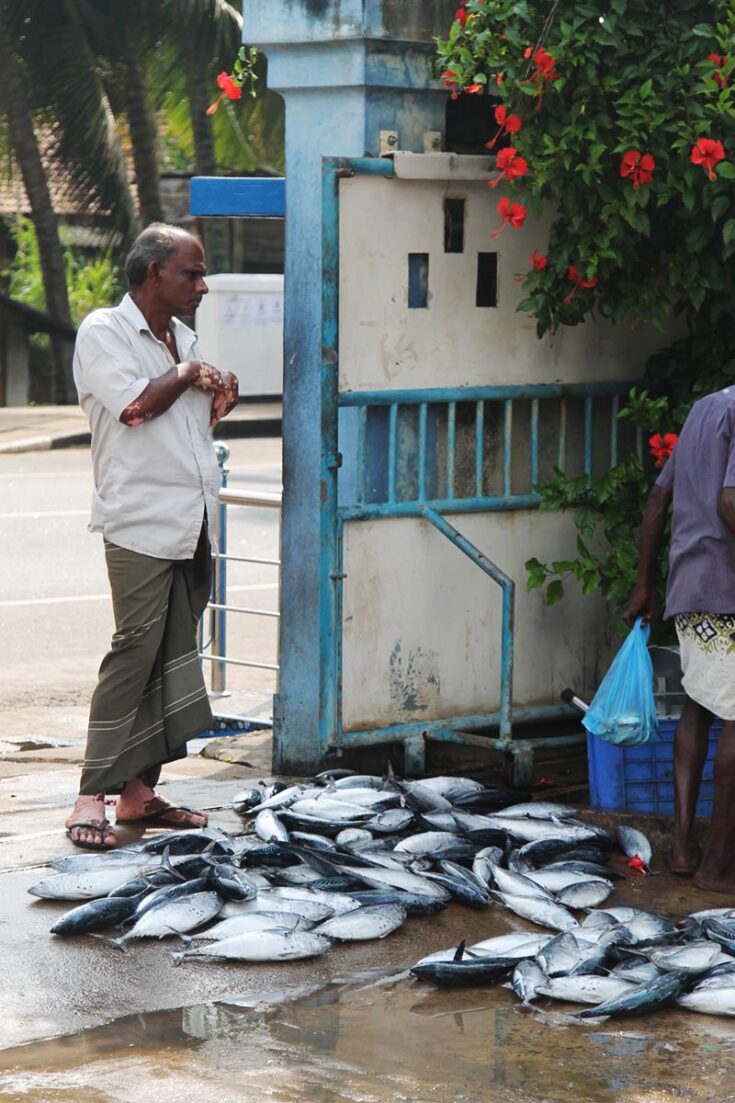 Fish Curry REcipe | Sri Lankan Fish Curry The Curry Guy