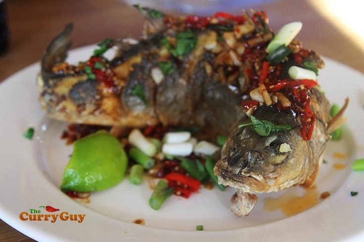 Thai Fried Fish with Garlic and Chilli Sauce | The Curry Guy